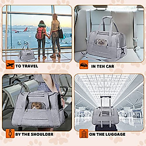 Pet Carrier,Cat Carrier Bag Airline Approved Dog Carriers for Small Dogs,Medium,Small Cats,Travel Carrier Comfort Portable Pet Bag for Cats with Harness,Nail Clippers,Hair Removal Brush,Foldable Bowl