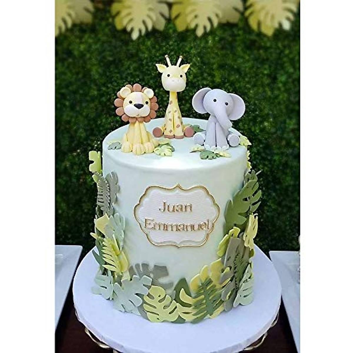 Crethinkaty Tropical Leaf Cookie Cutter Shapes Set for Cake Decorating 4 Pieces Plastic Big Size Fondant Icing Cutters DIY Baking Tool