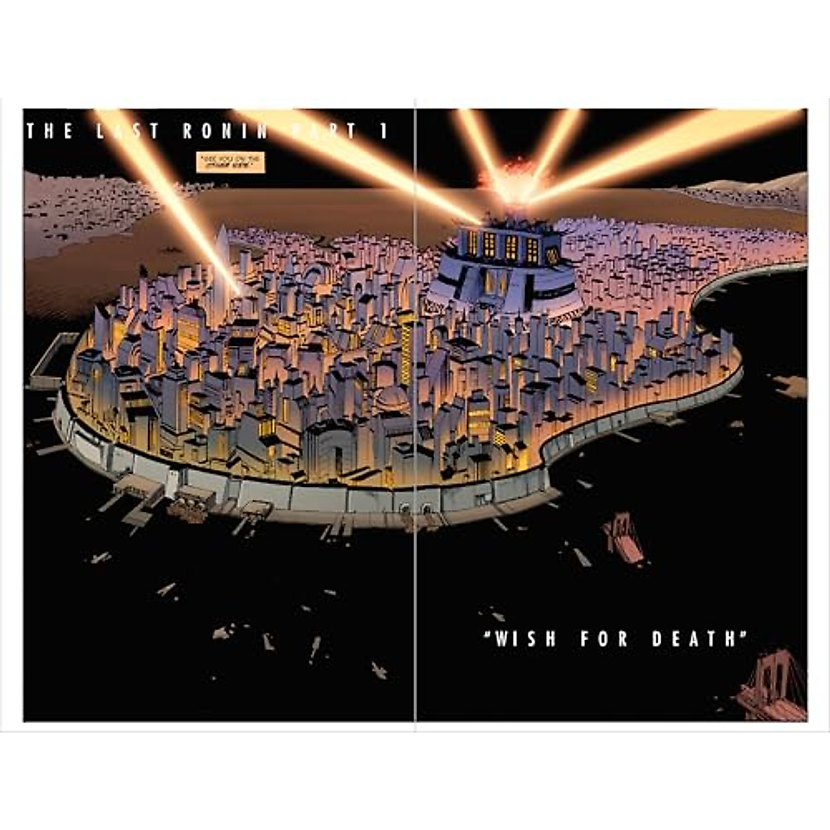 Teenage Mutant Ninja Turtles: The Last Ronin