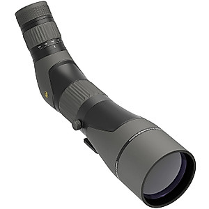 Leupold SX-2 Alpine HD 20-60x80mm Angled Spotting Scope in Shadow Gray Finish