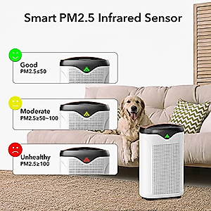 Smart Air Purifier for Home Large Room, WiFi APP Alexa Control Air Cleaner & Air Quality Monitor, Up to 1076 sq ft for Pets Odor, Smoke, Dust, Pollen, Quiet and Effective