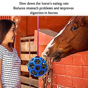 WishLotus Hay Feeder Ball, Horse Treat Ball Hanging Hay Feeder Toy to Have Fun and Relieve Stress, Horse Feed Ball to Improve Horse Digestion, Hay Ball for Horses, Sheep and Goats (Blue)
