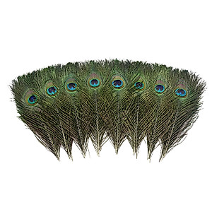 12 PCS Real Natural Peacock Eye Feathers 10-12 inch for DIY Craft, Wedding and Holiday Decorations