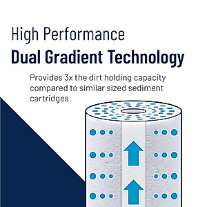 Pentair Pentek DGD-7525-20 Big Blue Water Filter, 20-Inch Whole House Sediment Filter Cartridge Replacement, Dual-Gradient Density Spun Polypropylene, 20" x 4.5", 25 Micron, Pack of 1, White