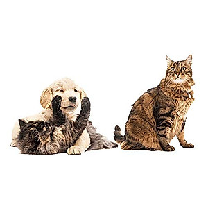 Hip and Joint for Dogs - PET Joint Health - Dogs and Cats - Turmeric and MSM - Increase Mobility - Decrease Inflammation - Premium - Dog glucosamine Chews - 1 Bottle (60 Tablets)