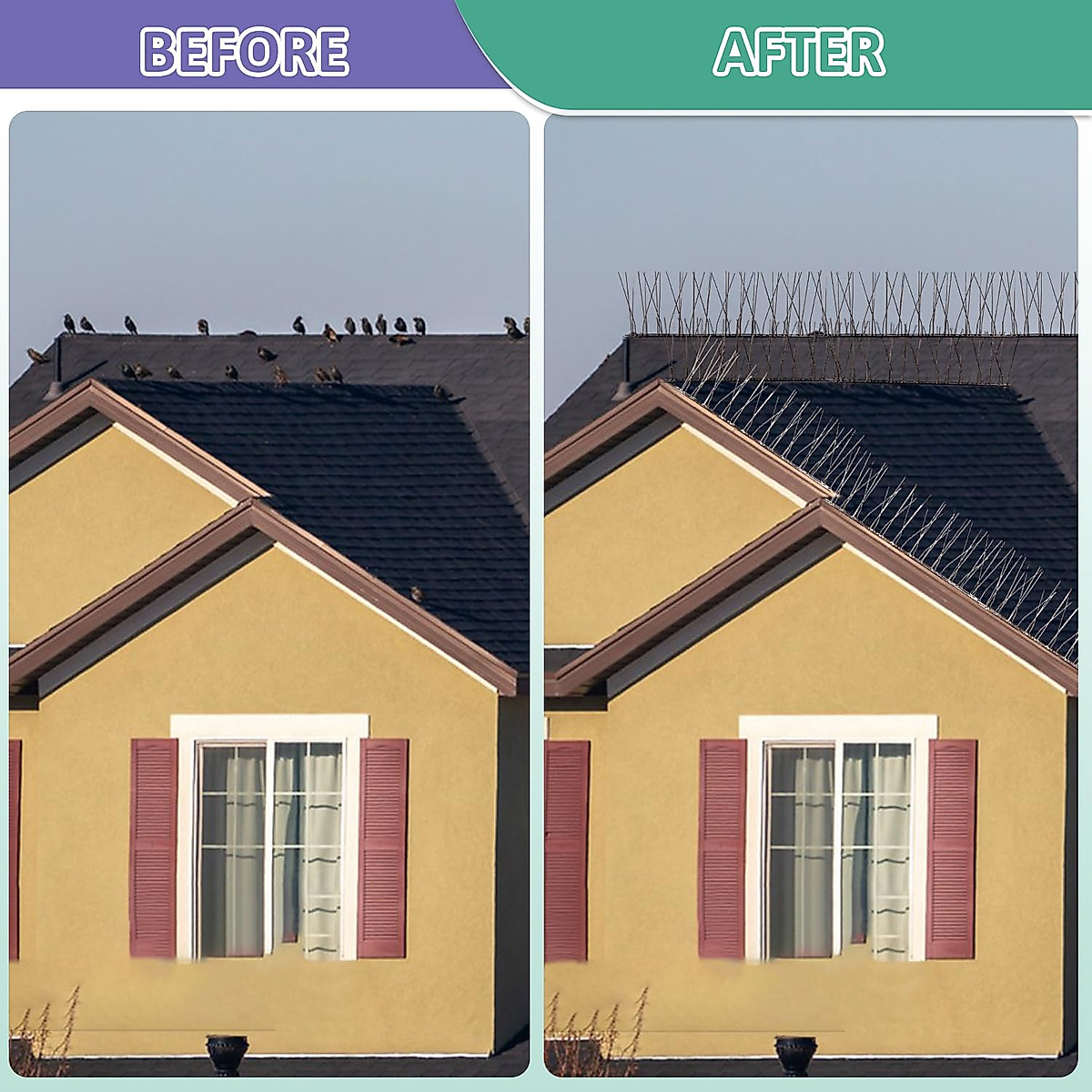 XPCARE 50.4 Feet Bird Spikes, Stainless Steel Bird Spikes Fence Spikes for Crow Robin Pigeon Squirrel Raccoon Defender Spikes (48 Packs Uninstalled)