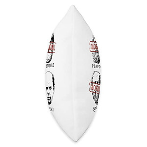 Princess Bride Morons Throw Pillow, 18x18, Multicolor