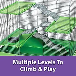 Kaytee My First Home Multi-Level Exotics Habitat for Pet Chinchillas, Rats, Degus, Sugar Gliders and Other Exotic Small Animals