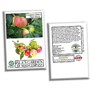 Common Apple Tree Seeds for Planting, 15+ Fruit Tree Seeds Per Packet, (Isla's Garden Seeds), 70-90% Germination in Good Conditions, Malus pumila, Botanical Name: Malus pumila, Great Home Garden Gift