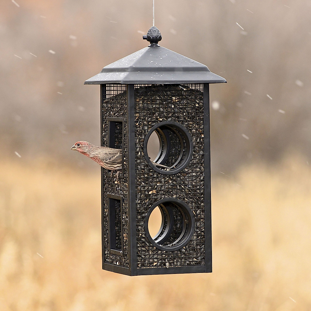 Perky-Pet B00303 Fly-Through Wild Bird Feeder