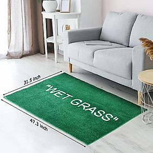Alivora Wet Grass Rug for Bedroom-Non Slip Wet Grass Carpet for Living Room-Green Grass Rug is Machine Washable Home Floor Mat-Premium Area Rug for Home Decor [47.2 x 31.5]