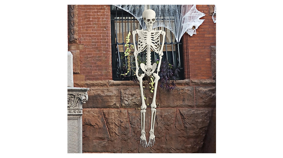 5.4ft Poseable Skeleton Prop for Halloween Decoration
