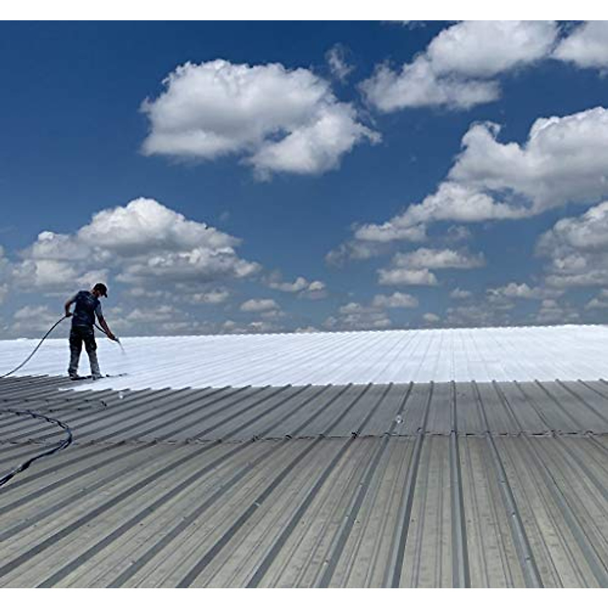 AMES RESEARCH LABORATORIES MSS1 Maximum Stretch Roof Coating, 1 Gallon, White