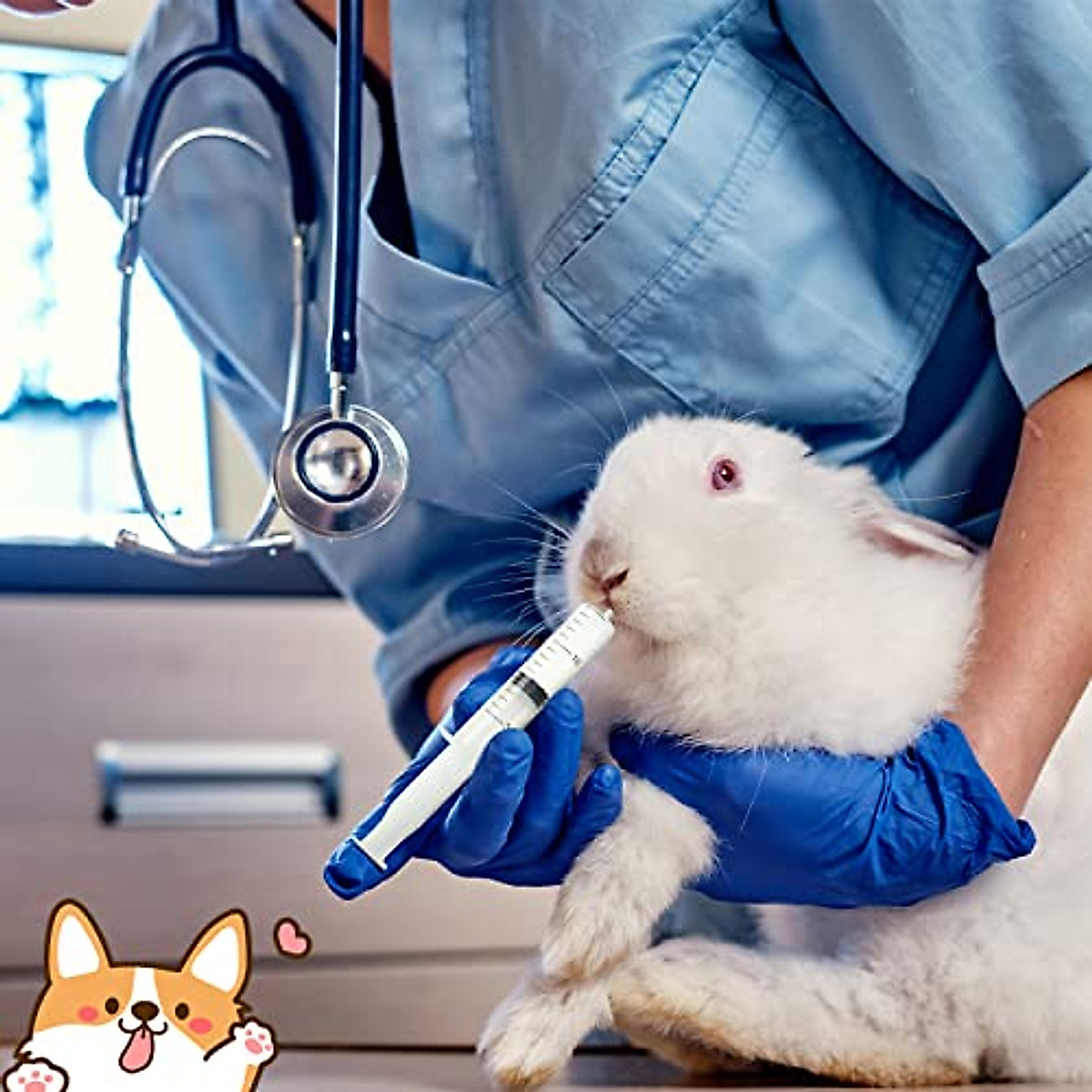 9 Pieces Puppy Feeding Tube Kit Includes 8 FR Red Rubber Kitten Feeding Tubes 10 ml Clear Feeding Tube Syringes Bulb Syringe Feeding Tools for Small Animals Pet Supplies Feeding Measuring Watering