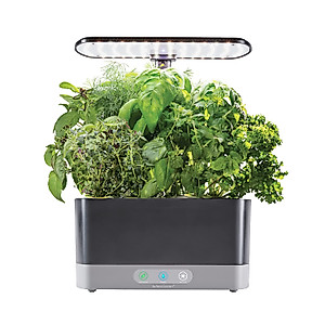 AeroGarden Harvest XL with Gourmet Herbs Seed Pod Kit - Indoor Garden with LED Grow Light, Black