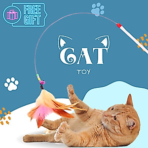 Rênasci® Elevated Ceramic Cat Food Dish Bowl, Adjustable Height, Raised Eco-Bamboo Wood Rack, Sturdy Pet Feeder, Tilted Angle