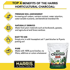 Harris Horticultural Charcoal, Premium Biochar Soil Amendment for Plants and Terrariums, 2qt
