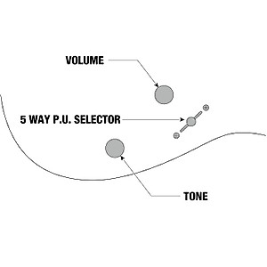 Ibanez SEW761FMNTF Standard Natural Flat