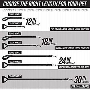 Leashboss Short Dog Leash for Dog Training | Padded Traffic Handle Short Leash for Dog Training, Total Comfort When Dog Walking | Traffic Leash for Dogs Large, Medium, Small | Short Nylon Dog Lead