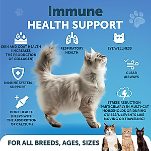 Lysine for Cats - L-Lysine Powder for Cats - Immune Support for Cats Sneezing and Runny Nose, Cat Cold, Eye Function, Respiratory Health - Allergy Relief - Lysine Supplement for Cats