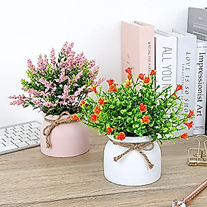 CEWOR 6pcs Fake Potted Plants Small Faux Plants Indoor Artificial Flowers Outdoor in Macaron Pot, Desk Plants for Home Indoor Bathroom Kitchen Shelf Office Decor