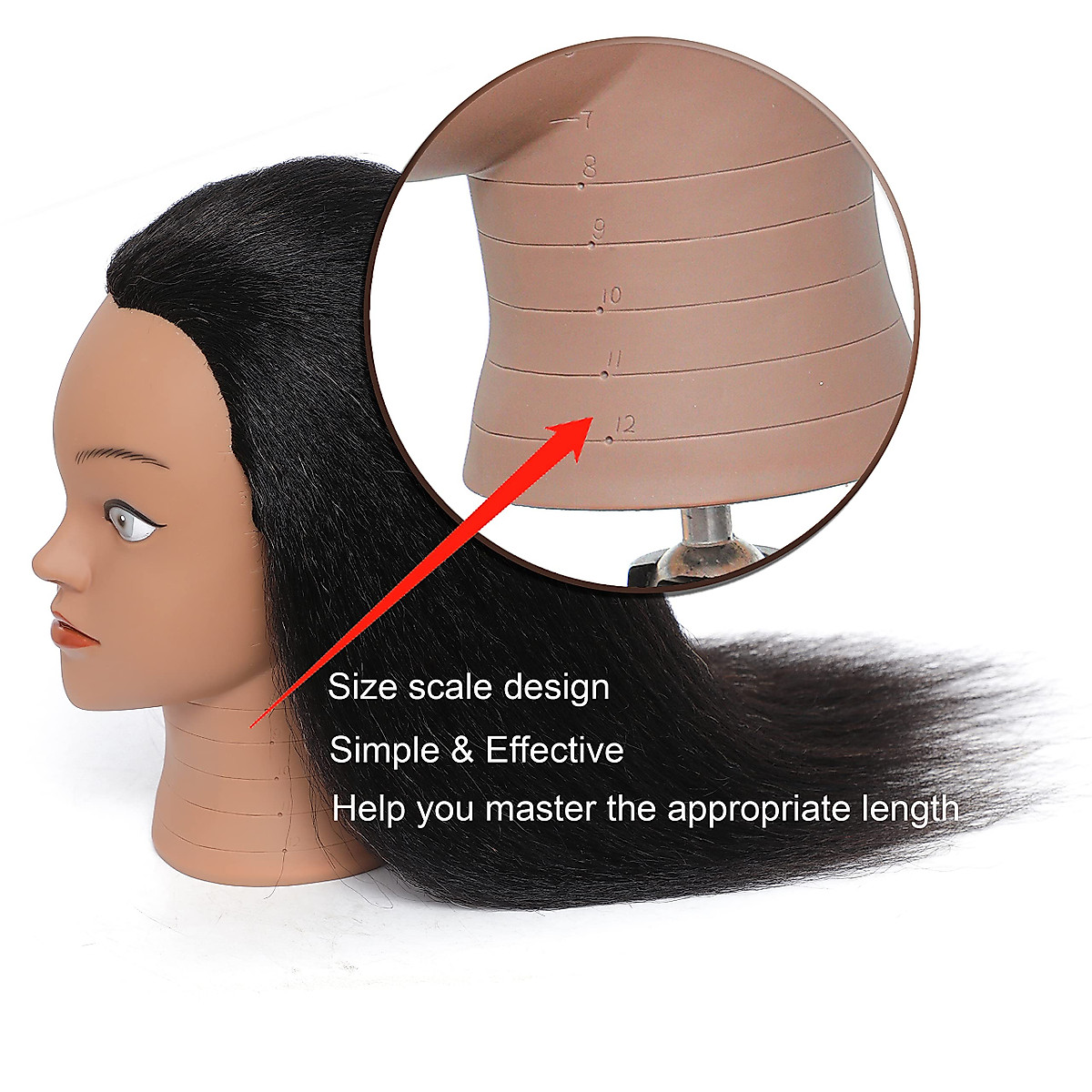 "N/A" Mannequin Head Human Hair 100% Real Hair Mannequin Head Doll Head for Hairdresser Practice Styling Cosmetology Manikin Head Hair with Free Clamp Stand (14 inch, D-L)