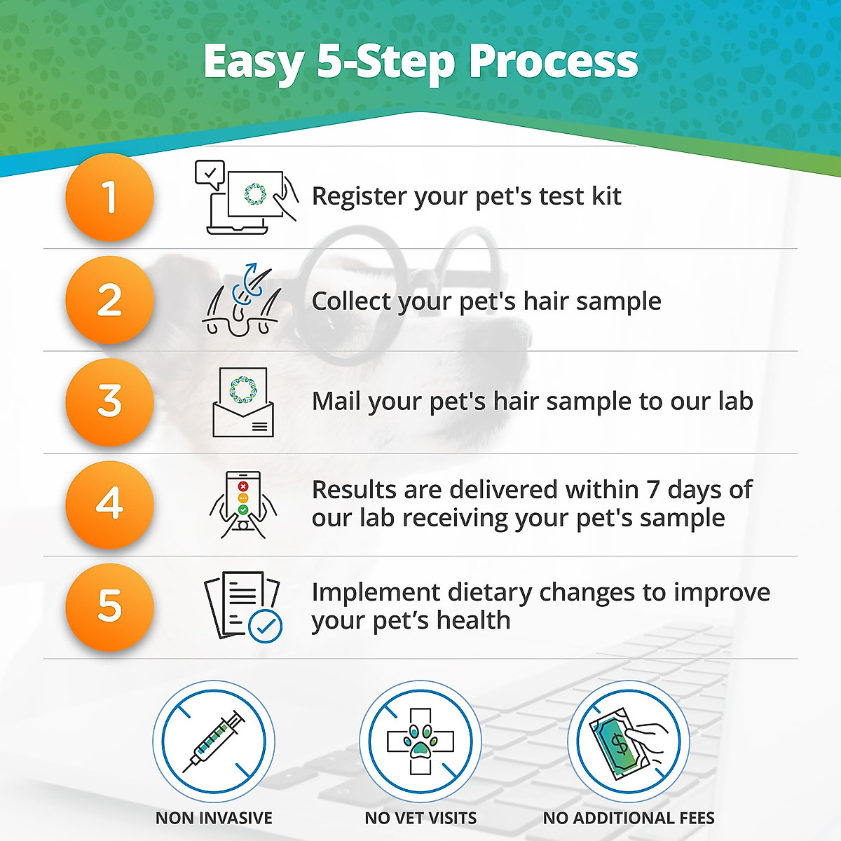 5Strands Pet Raw Food Intolerance Test, at Home Sensitivity Test for Dogs & Cats, 315 Items, Hair Analysis, Accurate for All Ages and Breed, Results in 5 Days - Chicken, Beef, Duck