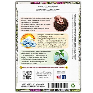 Seed Needs, Mixed Gloxiniaeflora Foxglove Seeds - 5,000 Seeds for Planting Digitalis purpurea - Open Pollinated, Attracts Pollinators & Hummingbirds (1 Pack)