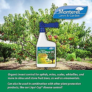 Monterey LG6294 32OZ Horticultural Oil