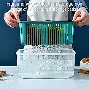 Gorwit Fruit and Vegetable Storage Container Refrigerator Berries Vegetable Washing Kitchen Vegetable Dehydration with Lid and Strainable Basket 5 Size Food Grade Safe BPA Free,1300ml