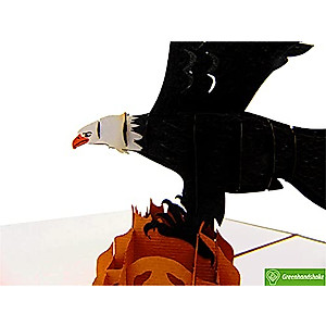 American Eagle, 3D Popup greeting card for birthday, valentine's day, mother's day, anniversary, thank you, get well, 6" x 6"