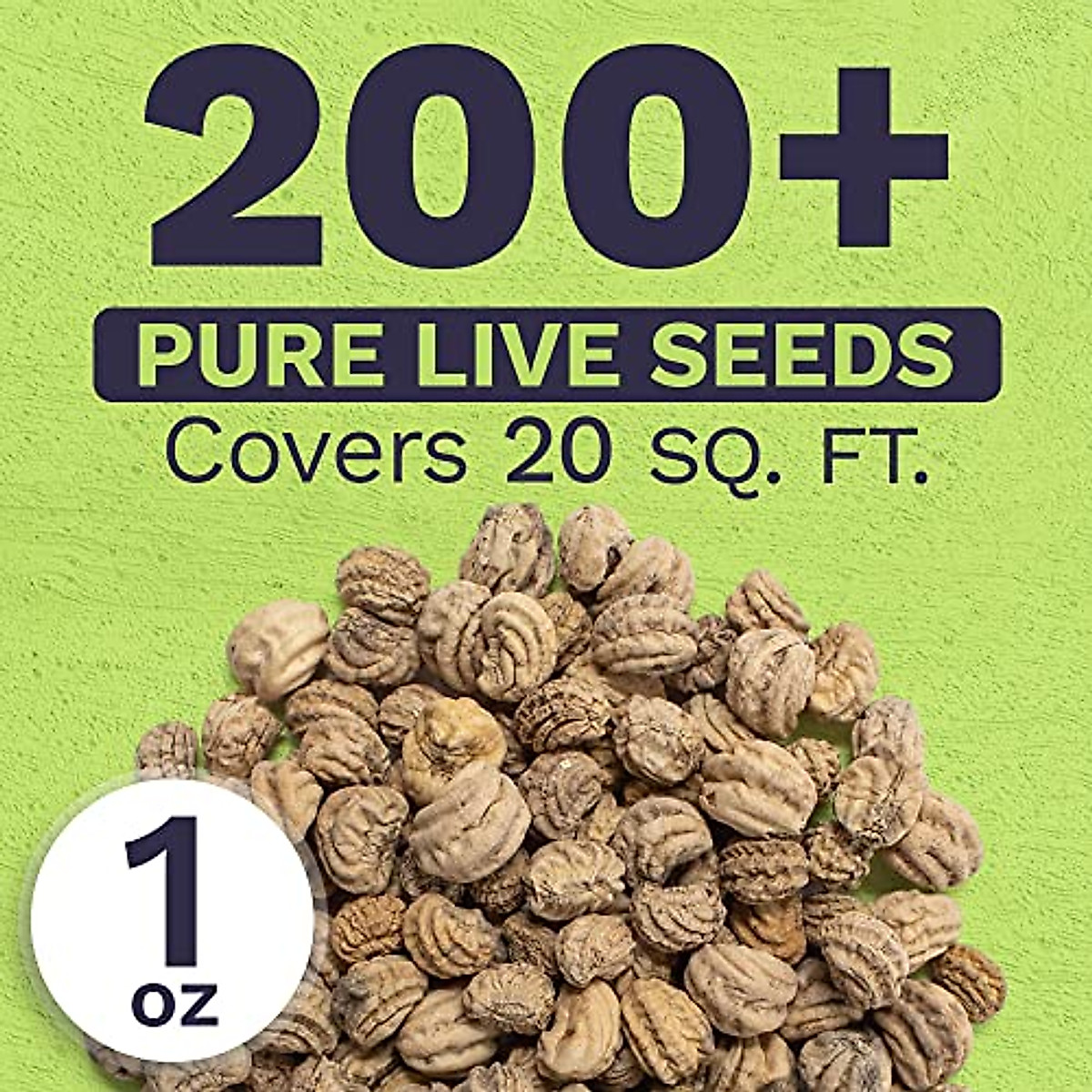 Sweet Yards Seed Co. Nasturtium Seeds – Mixed Colors – Extra Large Packet – Over 200 Open Pollinated Non-GMO Flower Seeds – Tropaeolum majus