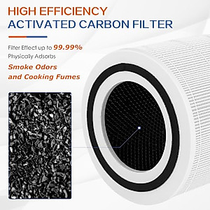 True HEPA Filter Replacement for 240 Air Purifier,3 in 1 True HEPA Activated Carbon Filter,2 Pack