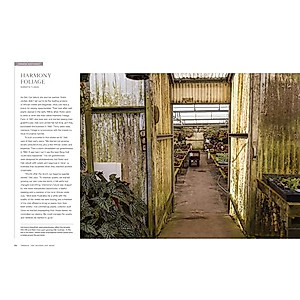 Terrain: The Houseplant Book: An Insider’s Guide to Cultivating and Collecting the Most Sought-After Specimens