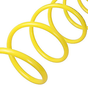 WYNNsky Coiled Air Hose, Nylon Material, Anti-Corrosion, Abrasion Resistance, 1/4 Inch × 12 Feet, 1/4 Inch NPT Brass Air Compressor Accessories Fittings, 200PSI