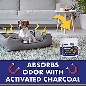 Gonzo Natural Magic Air Activated Charcoal - 2 Pack - for Litter Boxes Cages and Pet Beds 14 Ounce