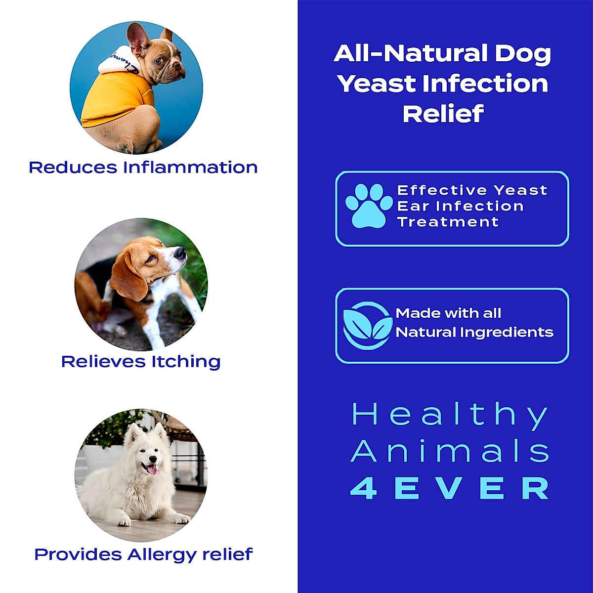 HealthyAnimals4Ever All-Natural Yeast Protection for Dogs - Effective Homeopathic Support for Yeast Infections - Preventive Care for Skin and Ear Health - 300 Dog Yeast Defense Tablets