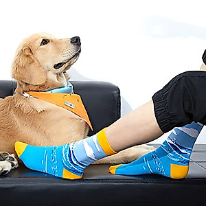 HI-HIXO Blue Dog and Owner Matching Set |Dog Bandanas and Men Socks Set | Original Designed Dog Scarf Bibs for Small Medium Large Dogs | Dog and Owner Friendship | Pet Lover Gifts