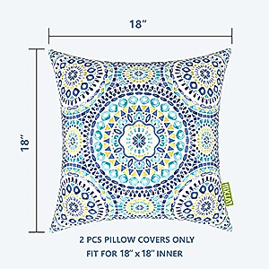 LVTXIII Outdoor Throw Pillow Covers 18 x 18 Inch, Covers ONLY Modern Paisley Pattern Decorative Square Toss Pillow Case Pack of 2 for Home Patio Garden Sofa Bed Furniture, Delancey Lagoon