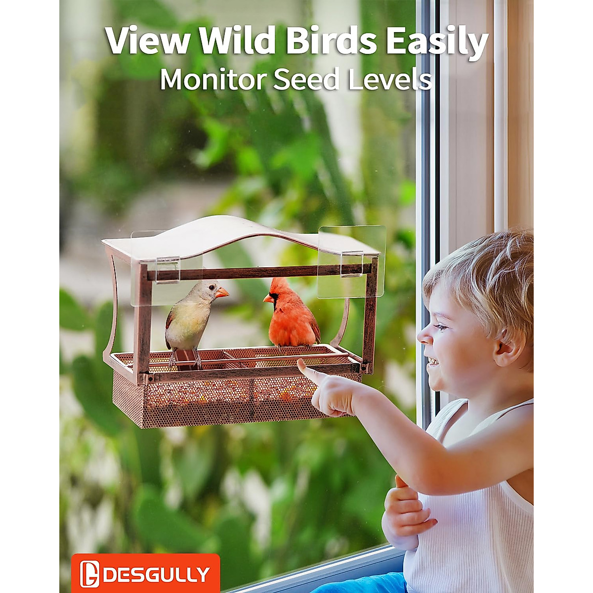 Window Bird Feeder, Desgully Metal Window Bird Feeder, Window Bird Feeders with Strong Suction Cups, Super Adhesive Sheet×4，Large Outdoor Bird Feeder, Bird Watching Gift (Curved)