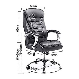 RILOOP Chair Office Chair Chair Ergonomic, Computer Chair Adjustable Seat Height with Back Support and Arms, Desk Chair Comfy, Study Chair for Home, Office and Executive