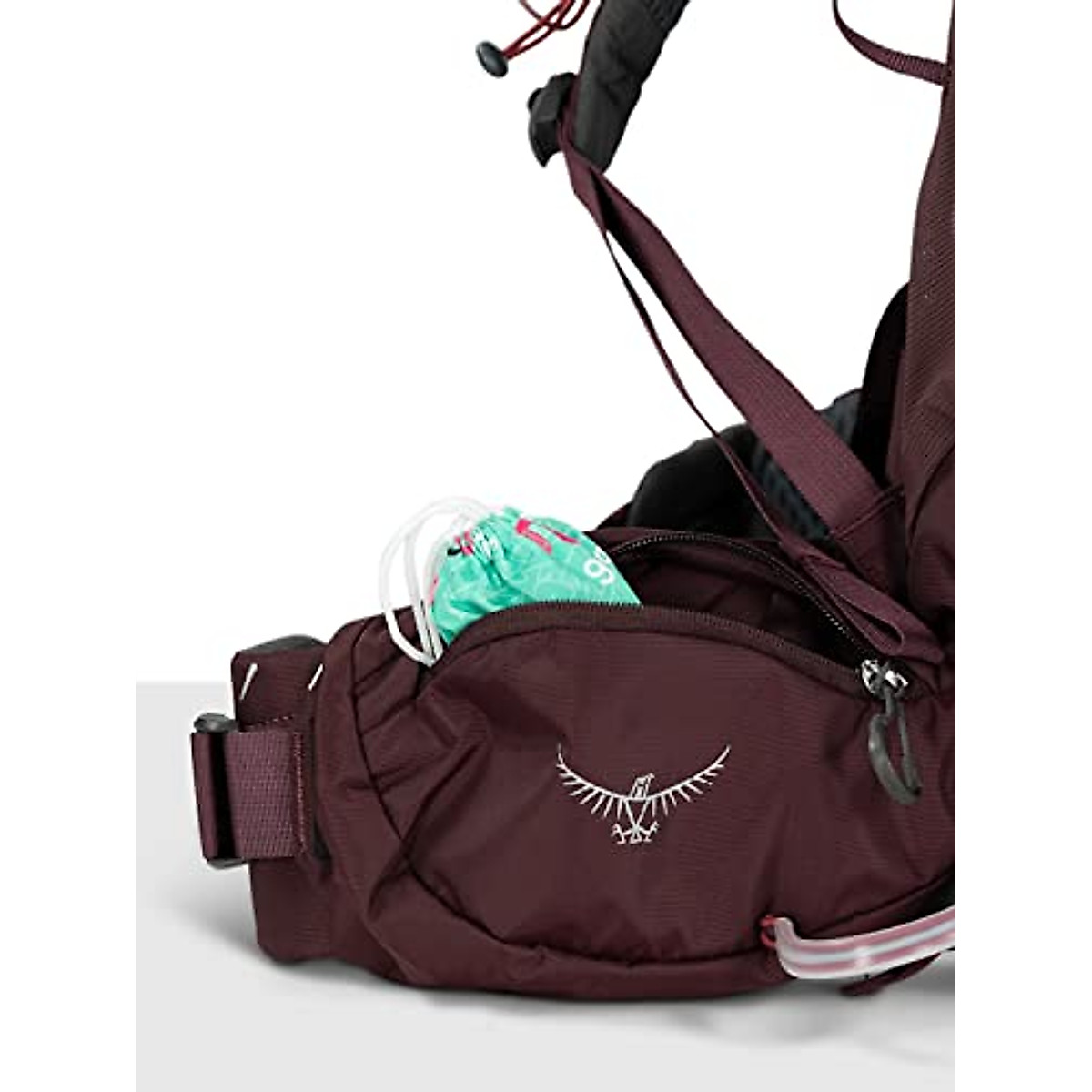 Osprey Kyte 58L Women's Backpacking Backpack with Hipbelt, Elderberry Purple, WM/L