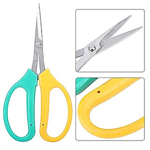 Stainless Steel Scissor, Curved Blade Grape Pruning Shears Fruit Branch Picking Scissors Bonsai Shears for Bonsai,Fruit Trees, Gardens,etc