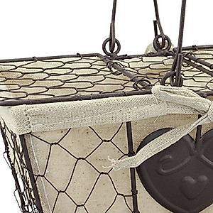 Stonebriar Farmhouse Metal Chicken Wire Picnic Basket with Hinged Lids, Handles, and Heart Detail, 10.5" x 6.5", Cream