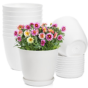 Elsjoy Set of 10 Plastic Planter Pots with Drainage Hole and Saucer, 6.5 Inch White Flower Pot Decorative Succulent Plant Pots for House Plants, Garden, Indoor & Outdoor