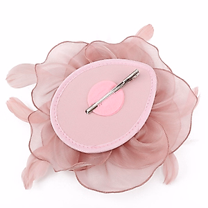 DRESHOW Fascinators Hat Tea Party Headwear Ribbons Feathers on a Headband and a Clip for Girls and Women