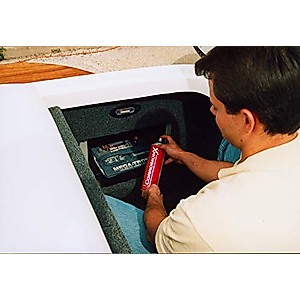 Corrosion Technologies 90101 CorrosionX 6 oz. aerosol