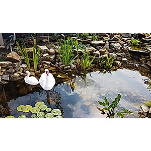 Pond H2o 5" Round Water Garden Pond Aquatic Plastic Mesh Slotted Plant Basket X 3 Pack, Plastic Water Garden Planting Basket Aquaponics, Hydroponics Slotted Mesh