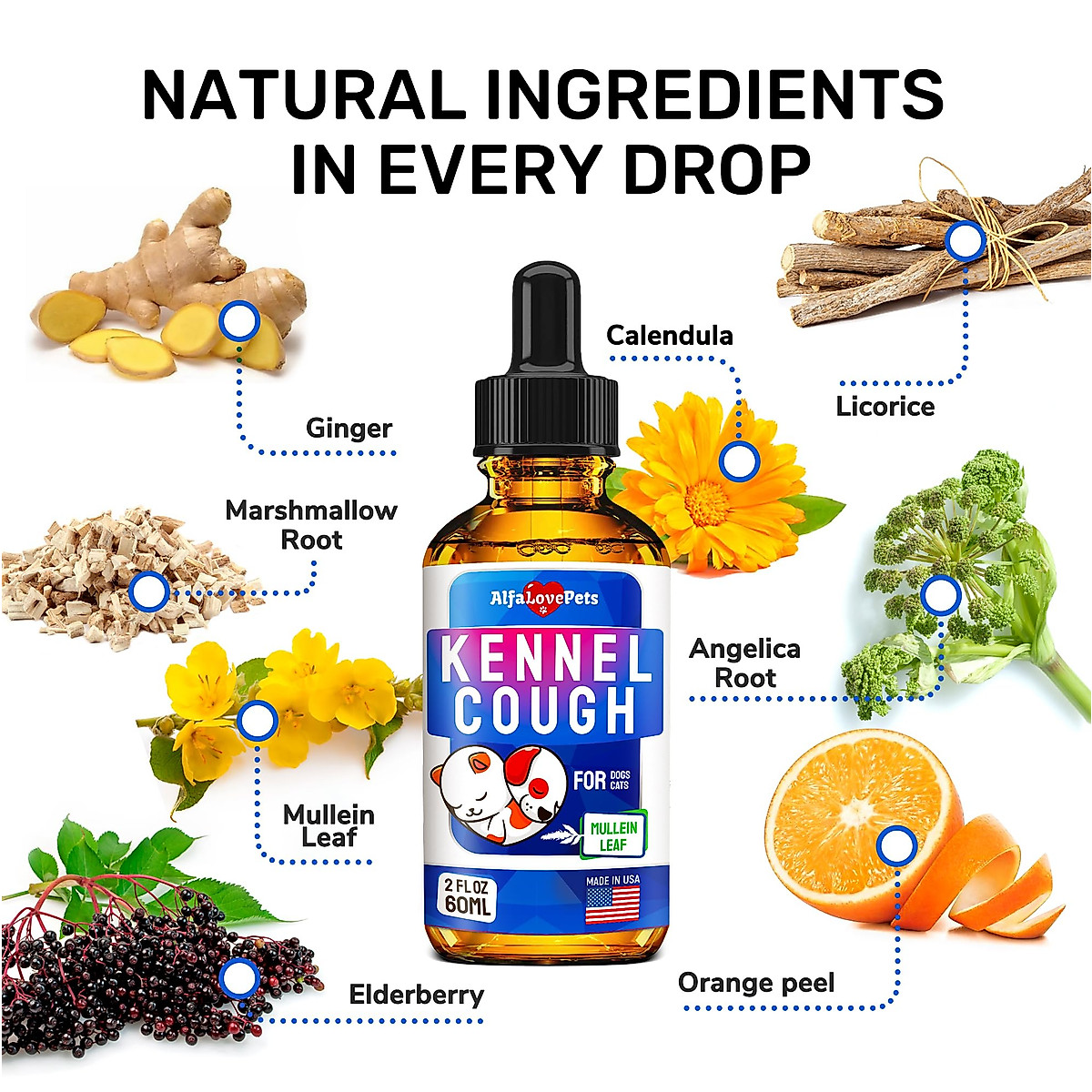 Kennel Cough Treatment ✿ Dog Cough Treatment ✿ Сat Сough ✿ Dog Cough Medicine Dietary Supplement ✿ Kennel Cough Treatment at Home for Dogs & Cats ✿ for Pets with Love ✿ 2 Oz