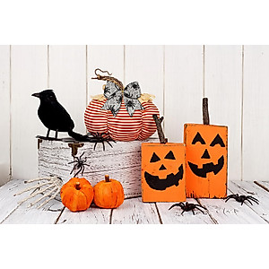 Hying 2 Rolls Halloween Ribbon for Wreath Bows Wrapping Gifts, Black Purple Spider Ribbons for Gift Wrapping Halloween Party Decoration DIY Crafts 2.5" X 10 Yards Spider Web Ghost Wired Edge Ribbon